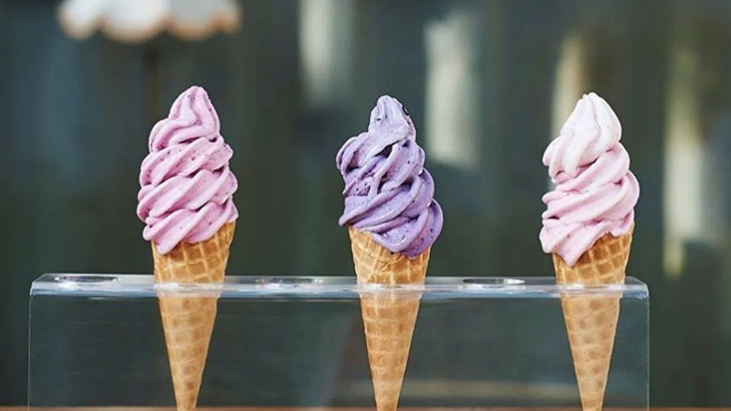 Swirl Blends Real Fruit Ice Cream Machines and Trailers