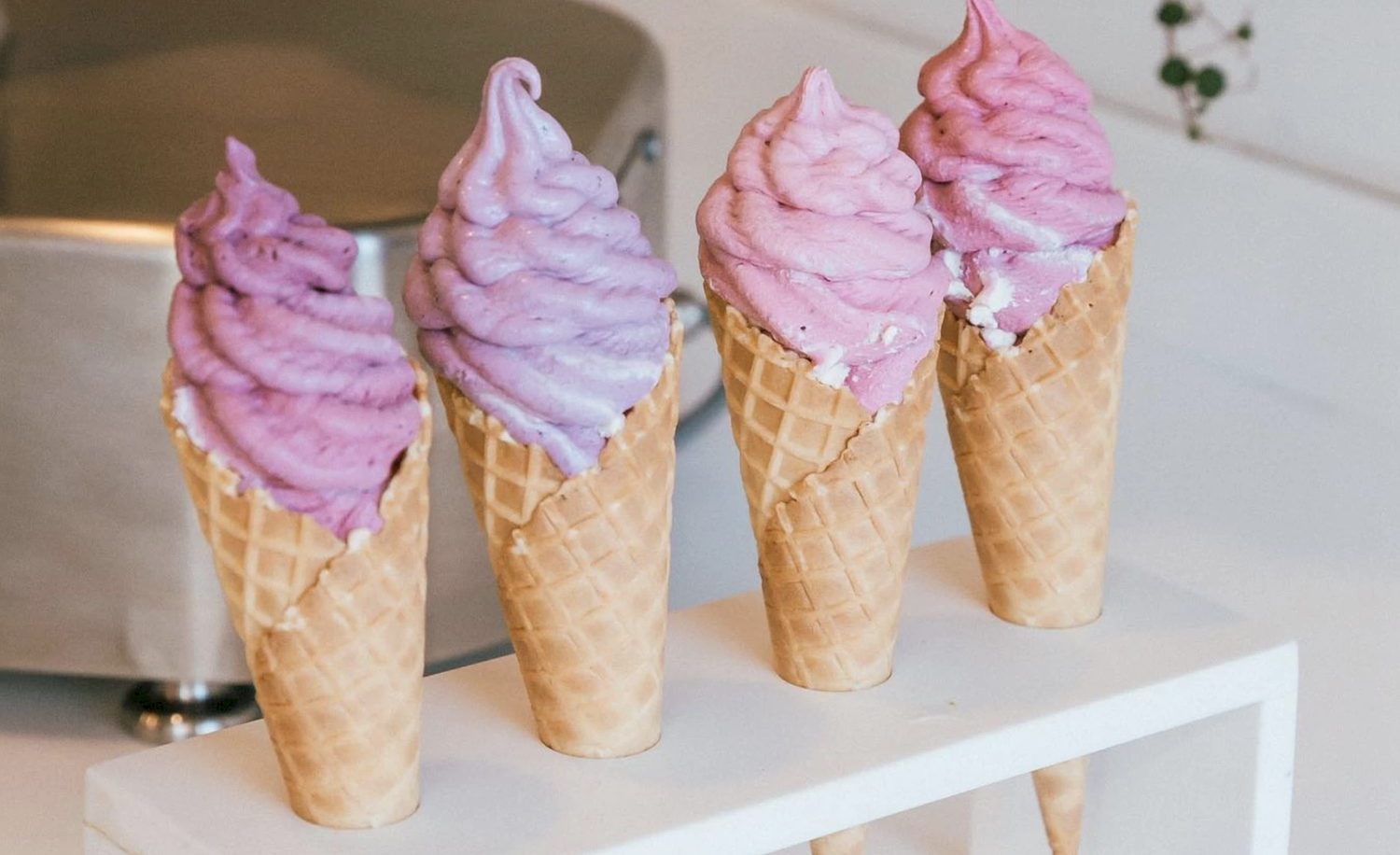 About | Discover and Create Now — Swirl Blends Real Fruit Ice Cream ...