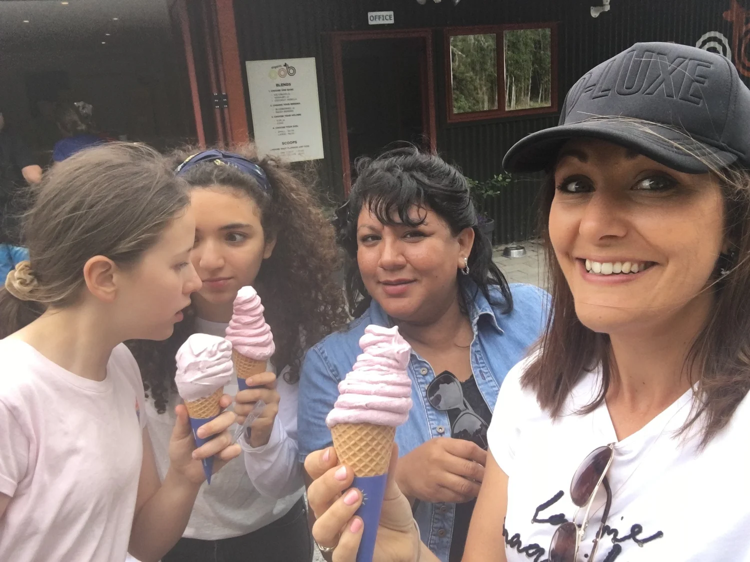 Ice Cream Cart Hire Packages | Real Fruit Ice Cream for Events NZ — Swirl Blends Real Fruit Ice ...