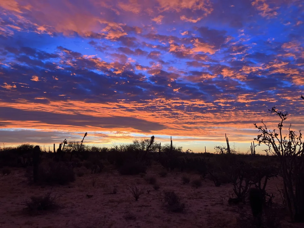 Blog 1 — Rare Earth Cycle