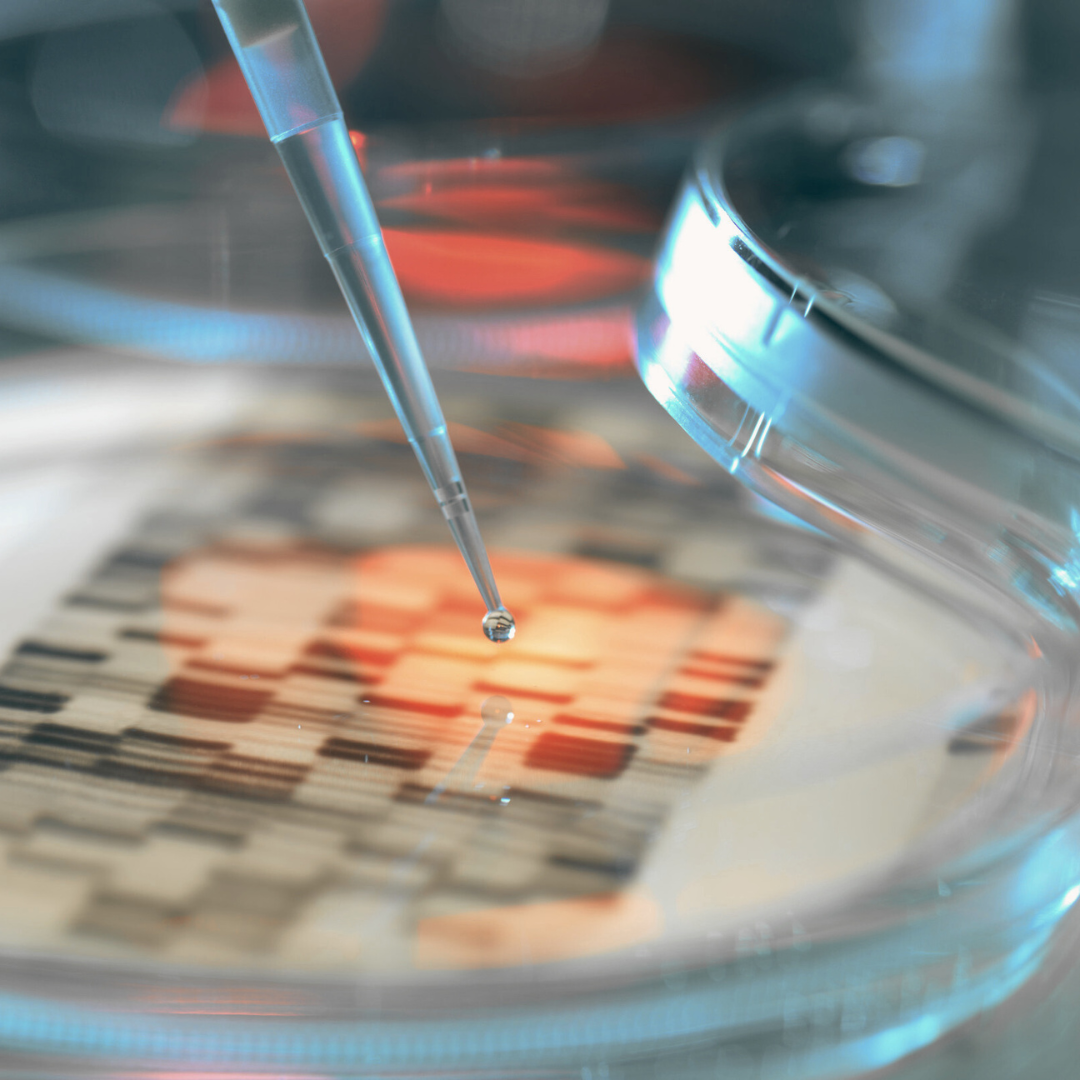 AXIOS - Bespoke PR and public affairs in Romania