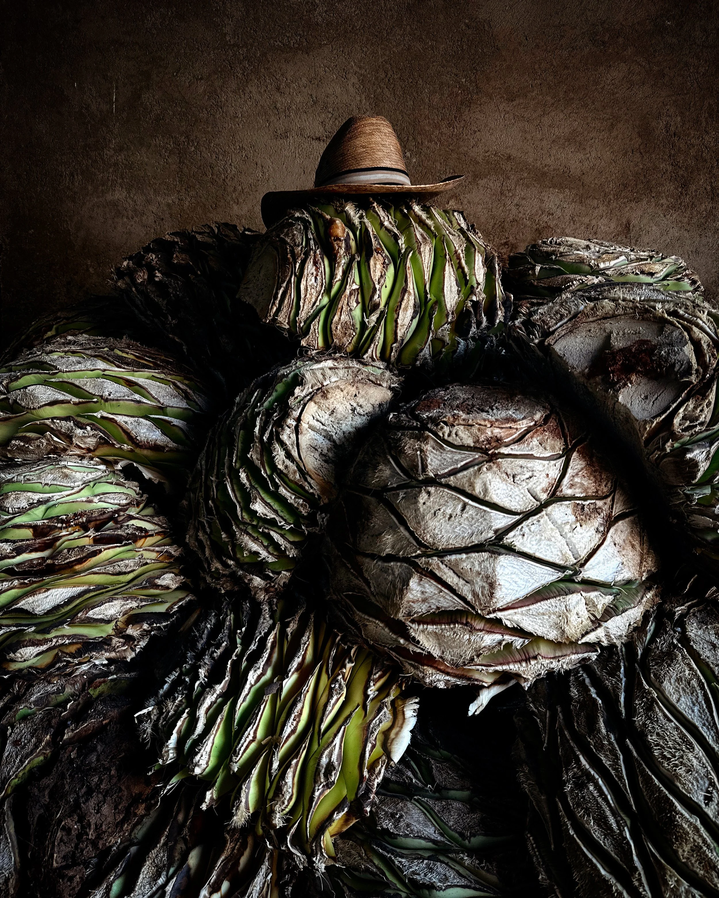 About Ahuehuete Collection Room — AHUEHUETE