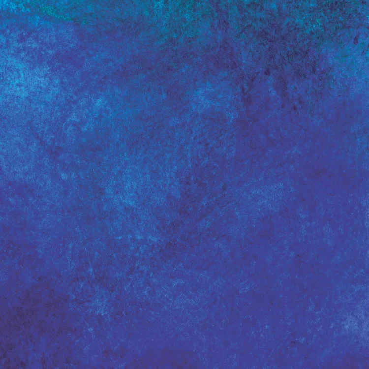 BAK Middle School of the Arts Foundation