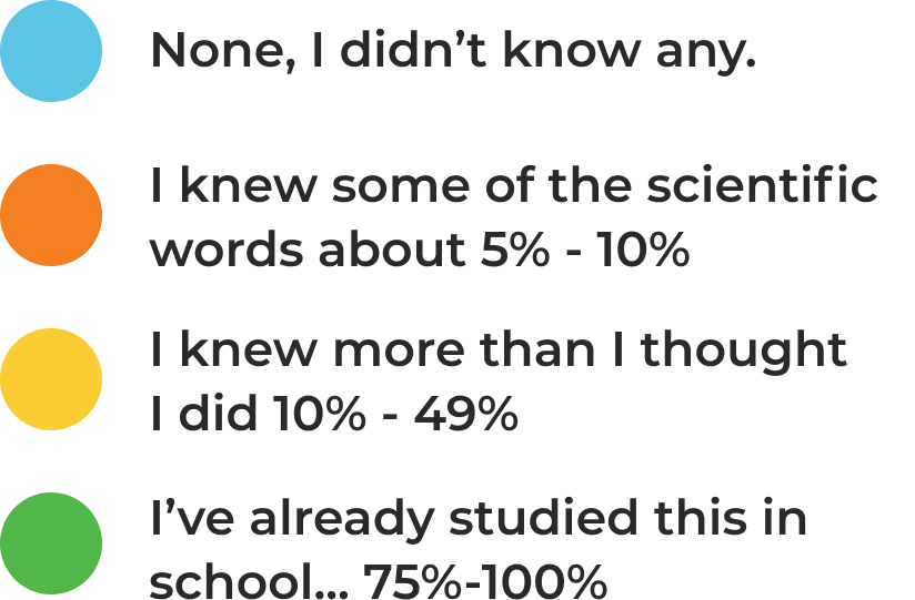 STEAM Insights — The Lab Drawer