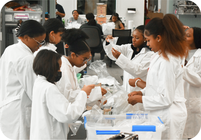 Media — The Lab Drawer