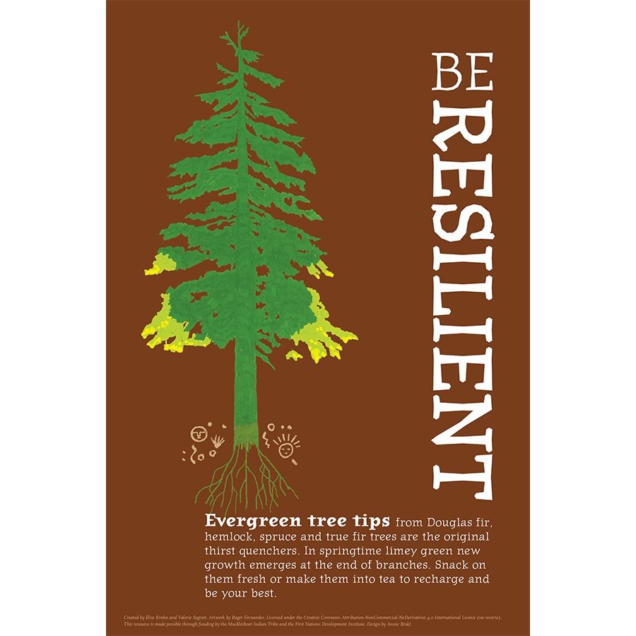 Feeding 7 Generations Poster — Chatwin Books