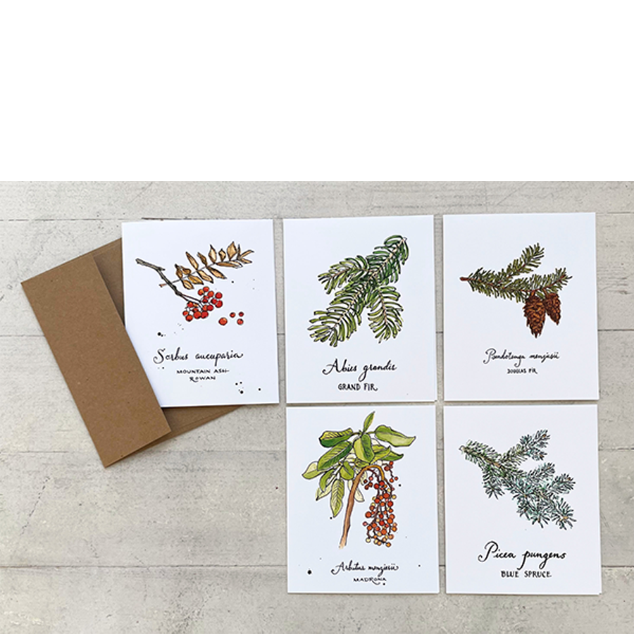 Plant Teachings Book & Cards, Pacific Northwest Edition (2021 ...
