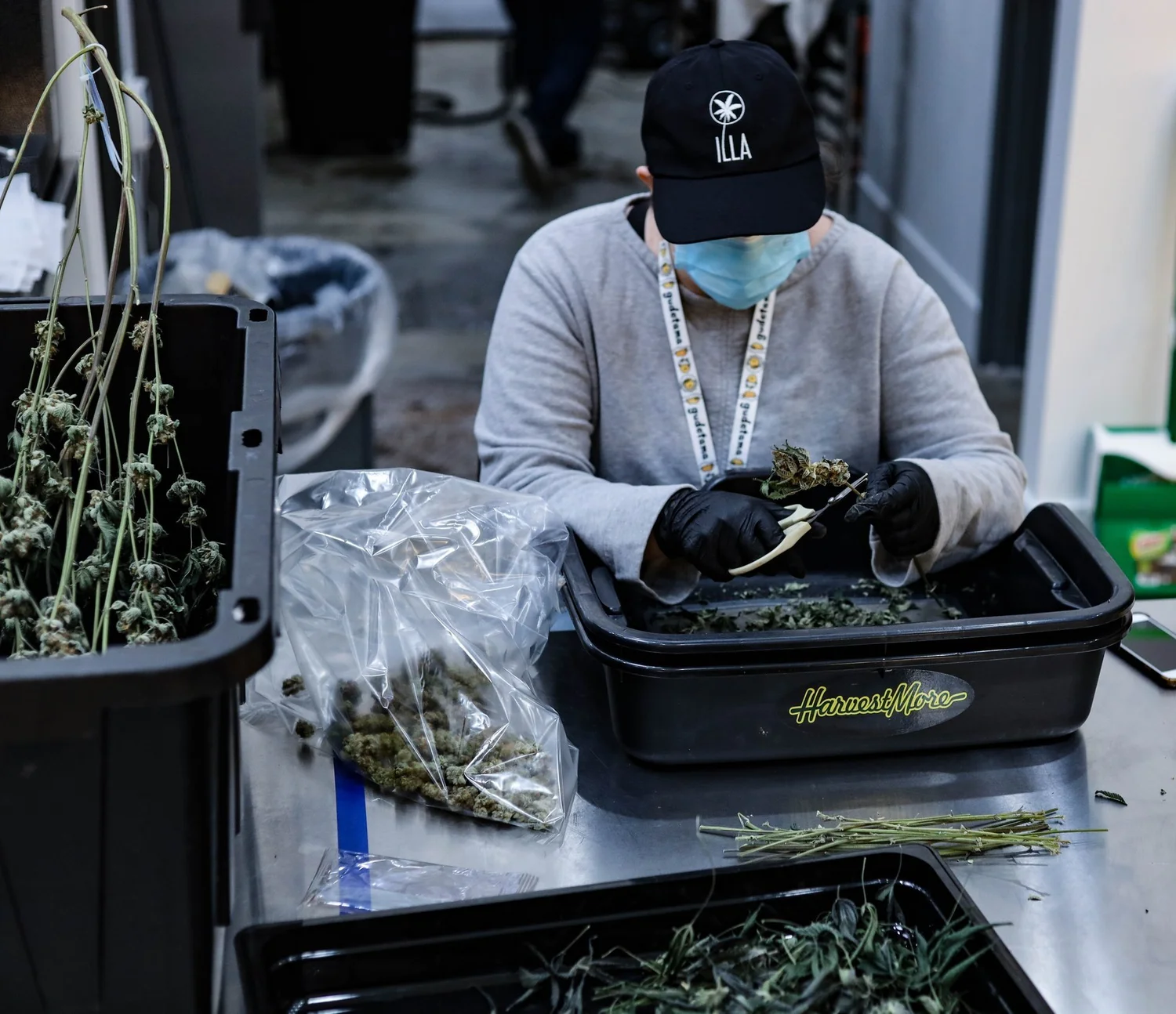 About — ILLA Canna