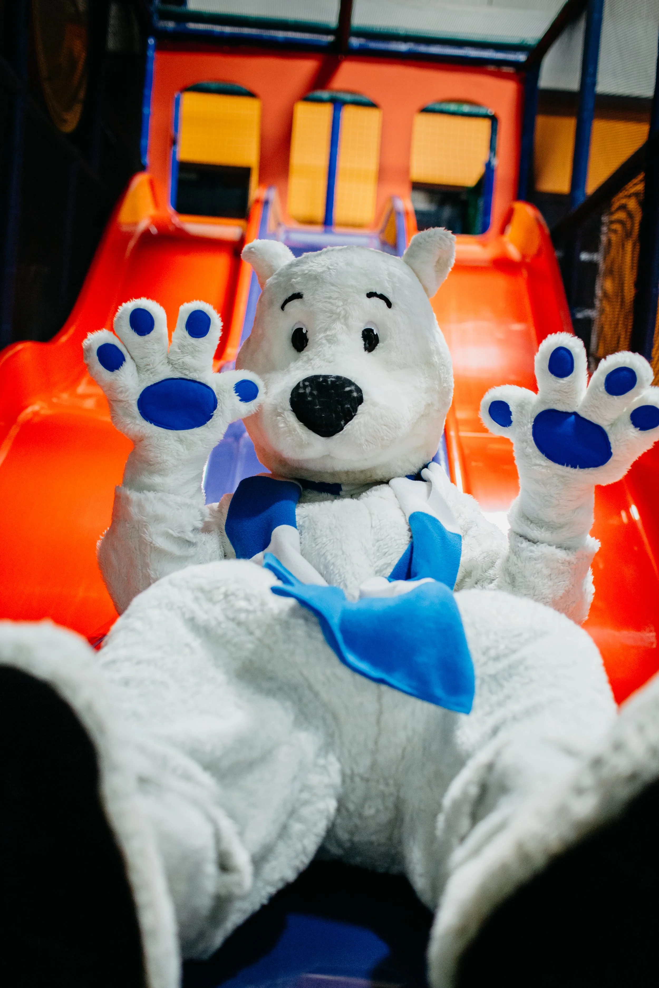 Carlson Ice Arena — Ice Rockford