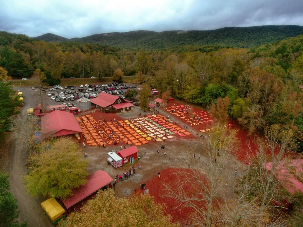 Plan a Visit — Burt's Pumpkin Farm Georgia