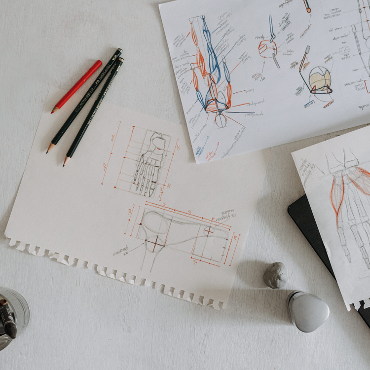 MCAS Recovery Roadmap (Mast Cell Activation Syndrome) — Forging Health