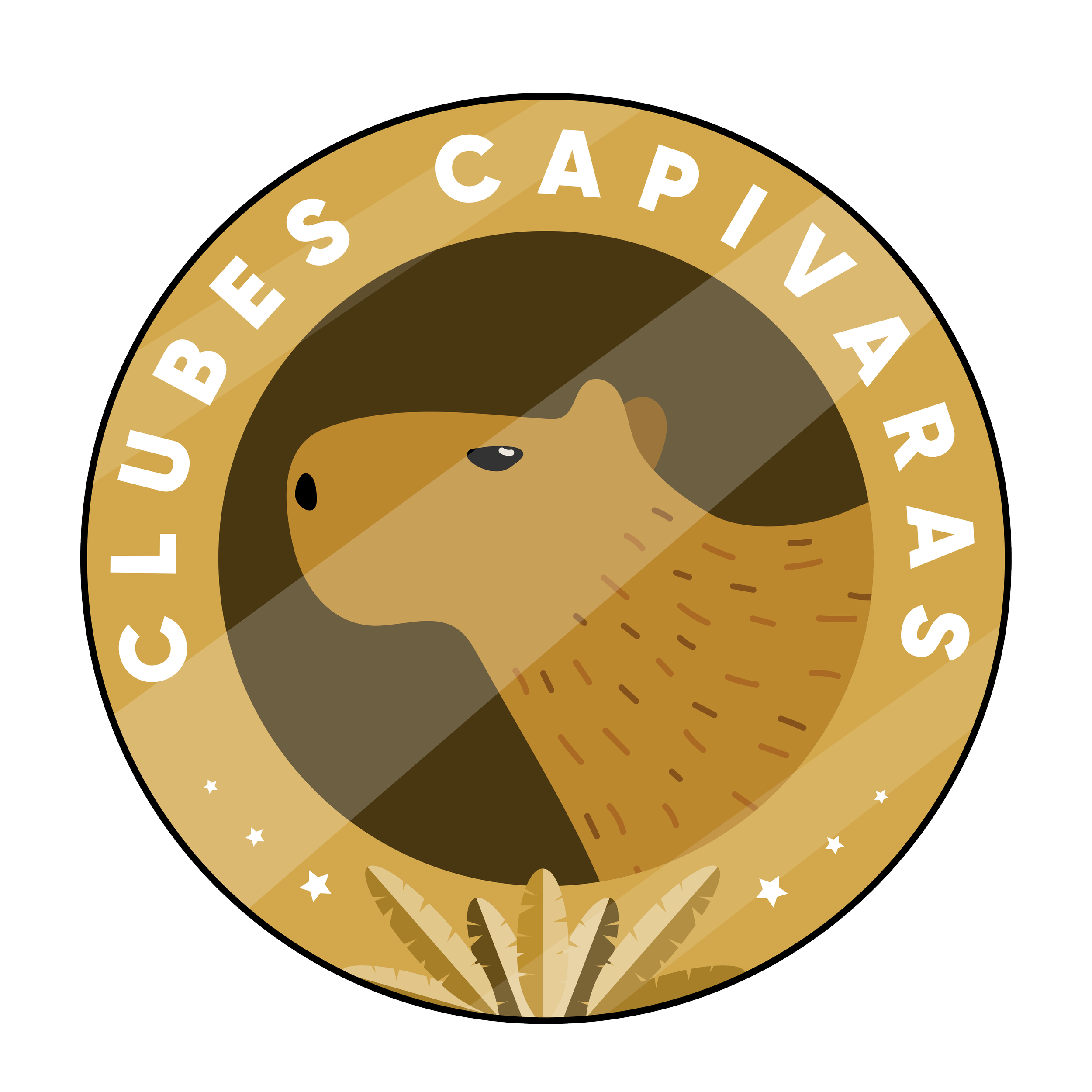 Sobre — Club Campfire Brasil