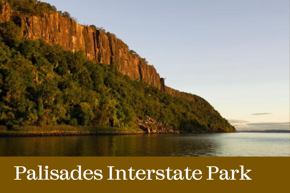 Tallman Mountain State Park | Explore Nature Today: Plan Your Visit ...