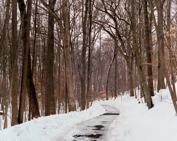 Tallman Mountain State Park | Explore Nature Today: Plan Your Visit ...