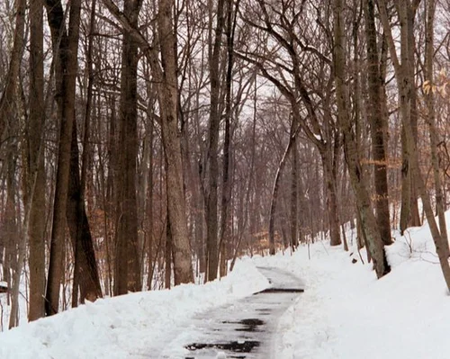 Tallman Mountain State Park | Explore Nature Today: Plan Your Visit ...