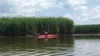 Tallman Mountain State Park | Explore Nature Today: Plan Your Visit ...