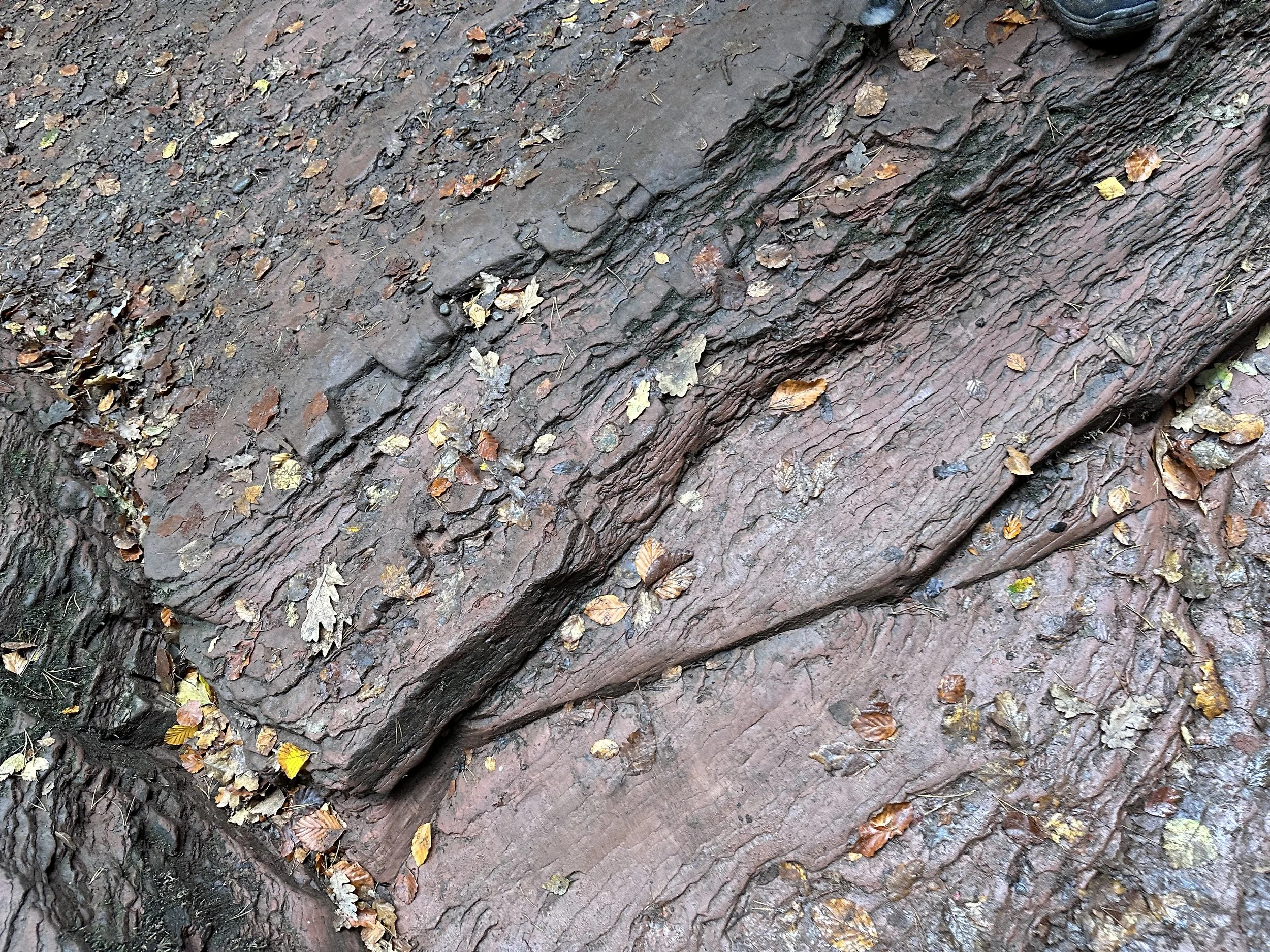Mudstone — Scottish Geologist