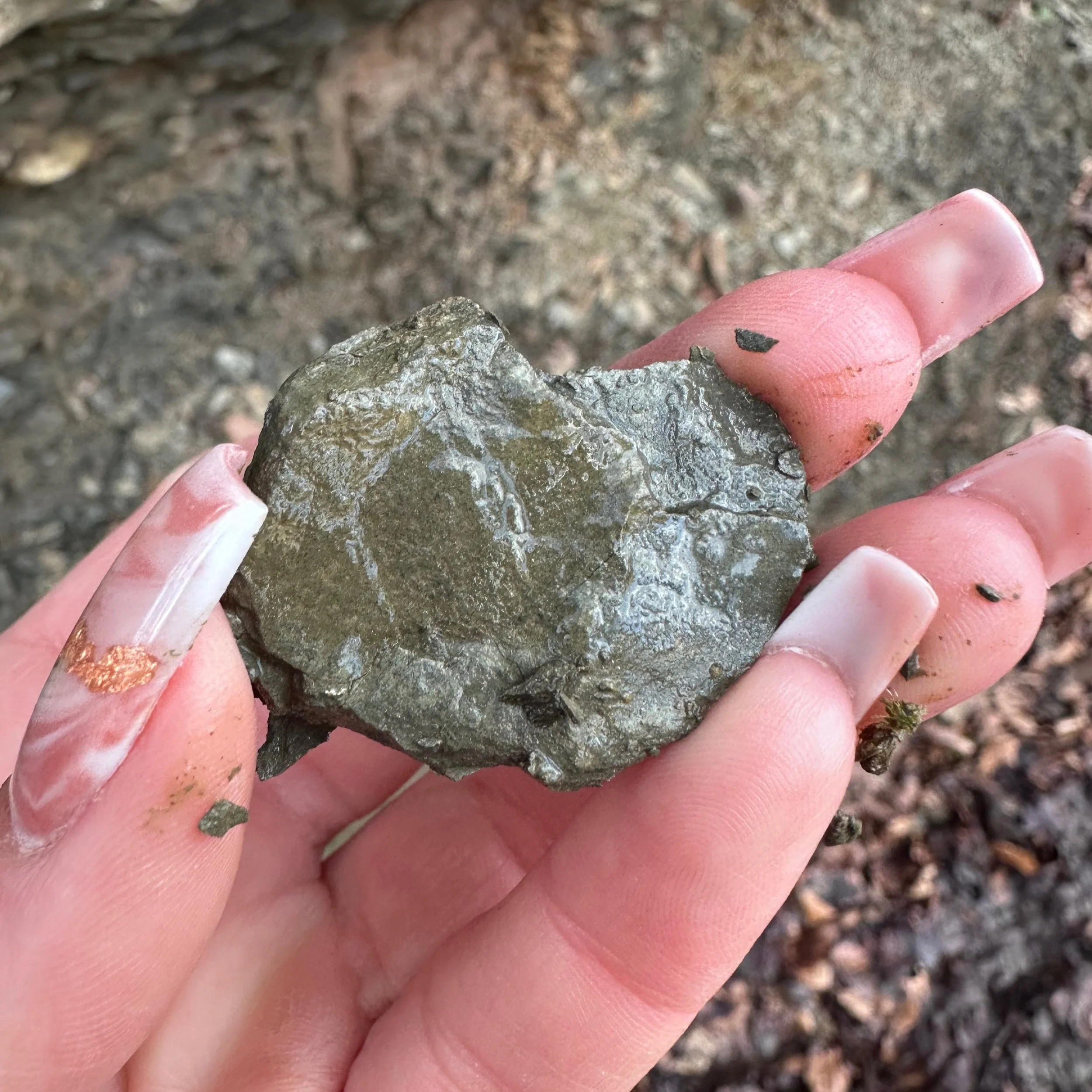 Mudstone — Scottish Geologist