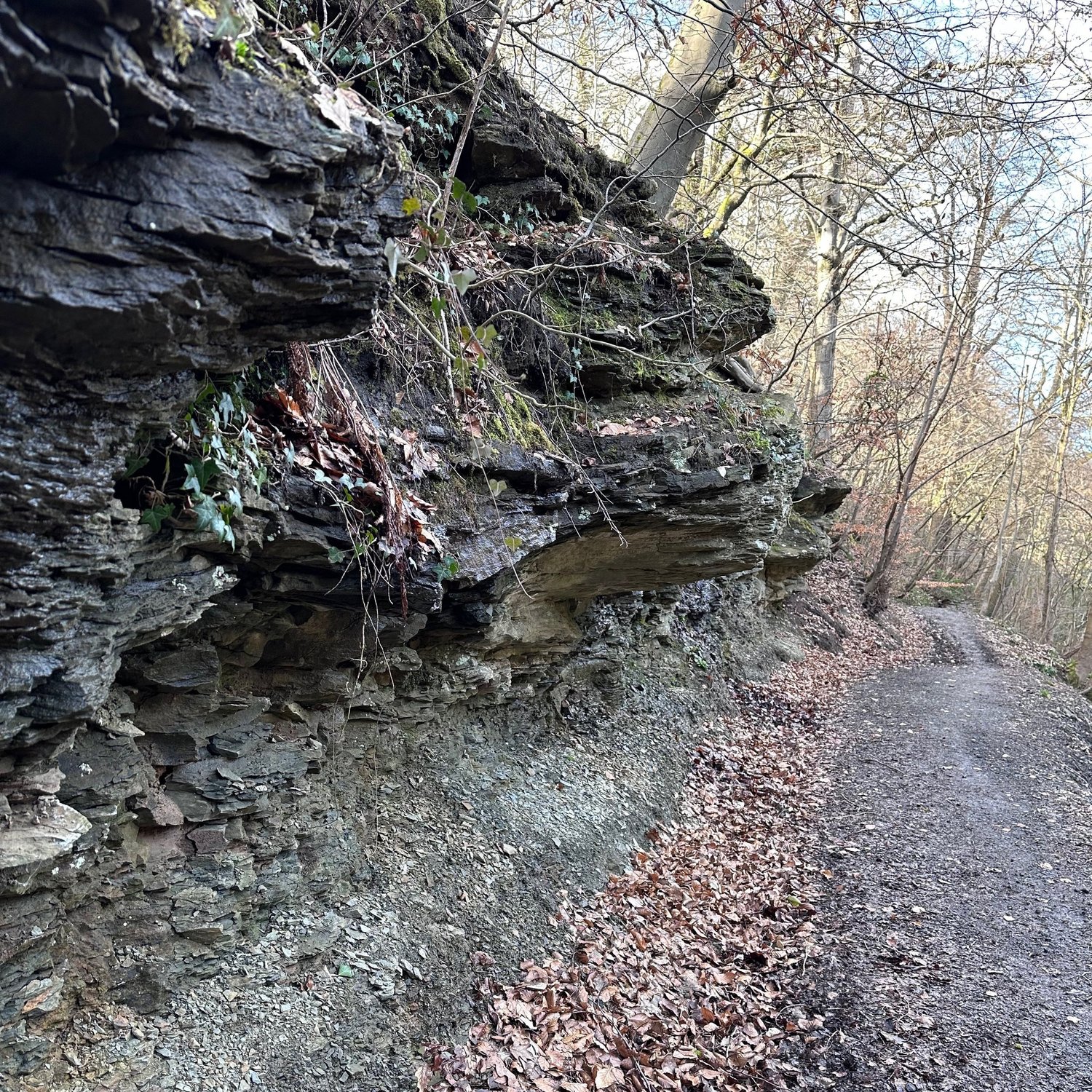 Mudstone — Scottish Geologist