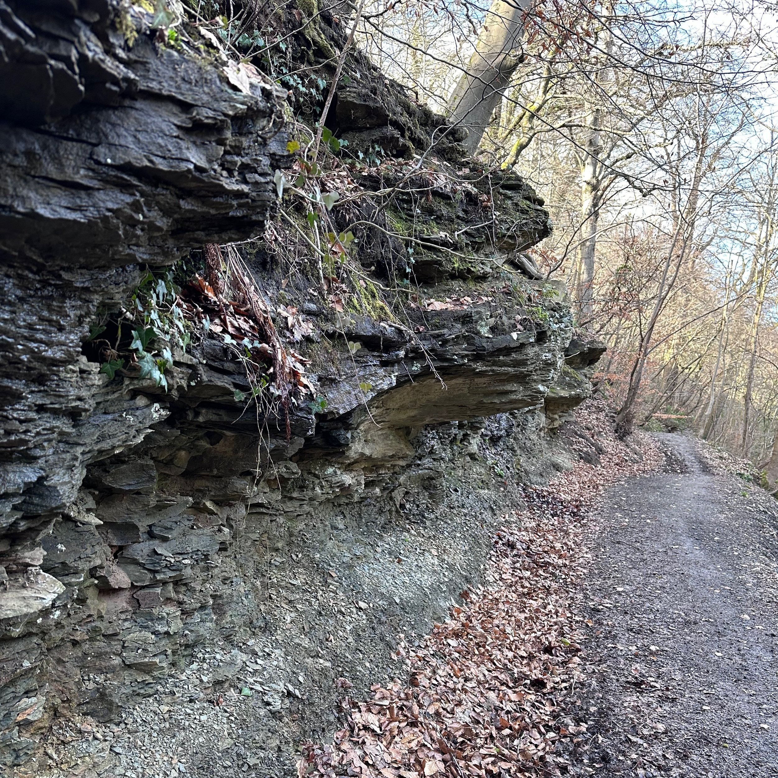 Mudstone — Scottish Geologist