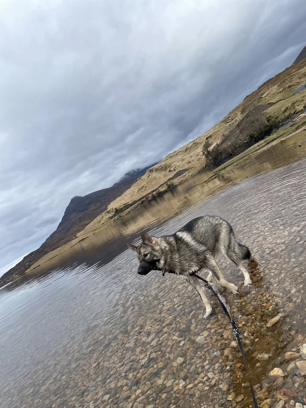 Scot Rock Walks - geology tours store — Scottish Geologist