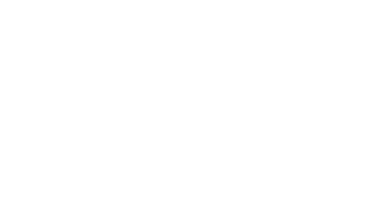 Somatic Therapy — Embodied Wellness & Recovery