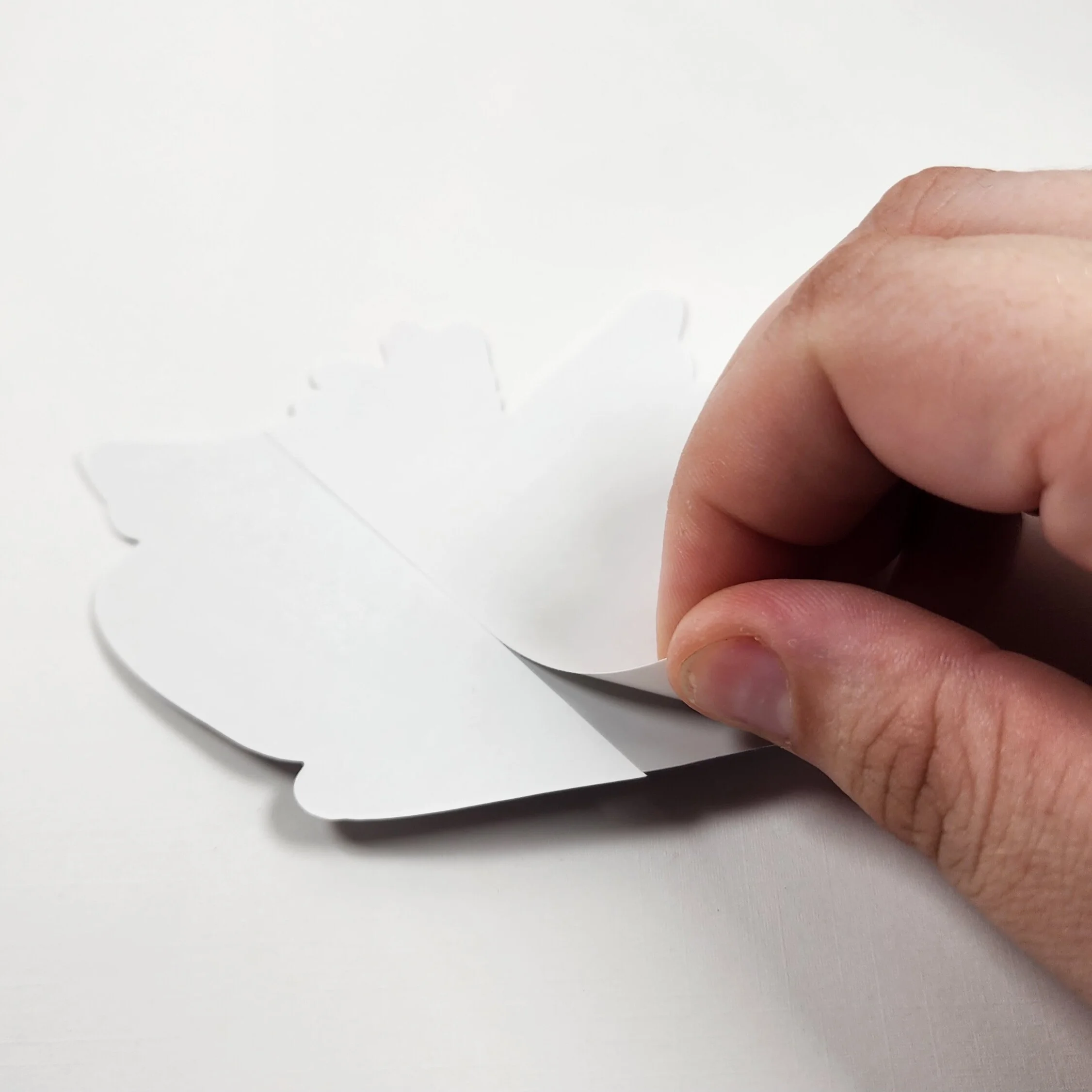 MERCH — The Diced Apple