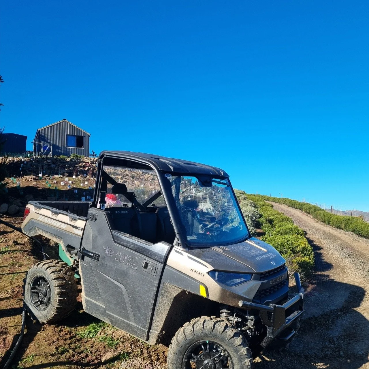 Stay — Akaroa Lavender