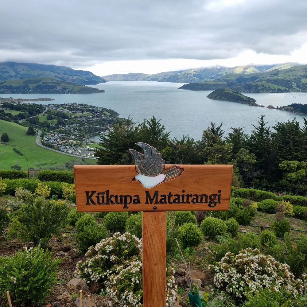 Stay — Akaroa Lavender