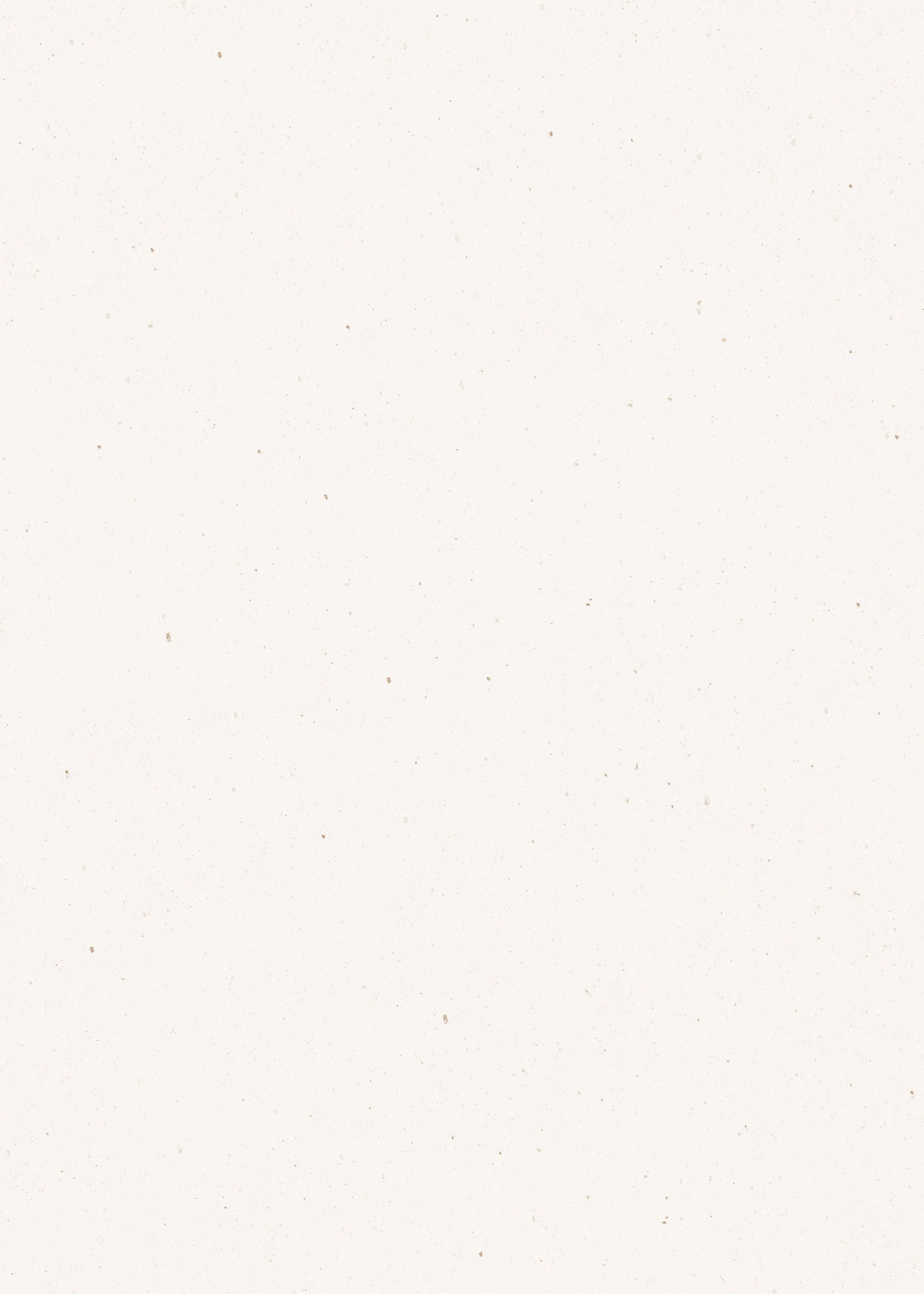 Boxwood Travel Design