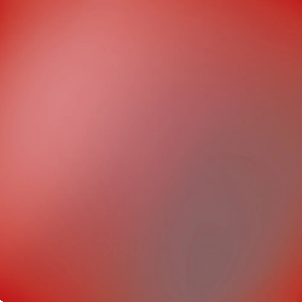 Boarding — Original Bark