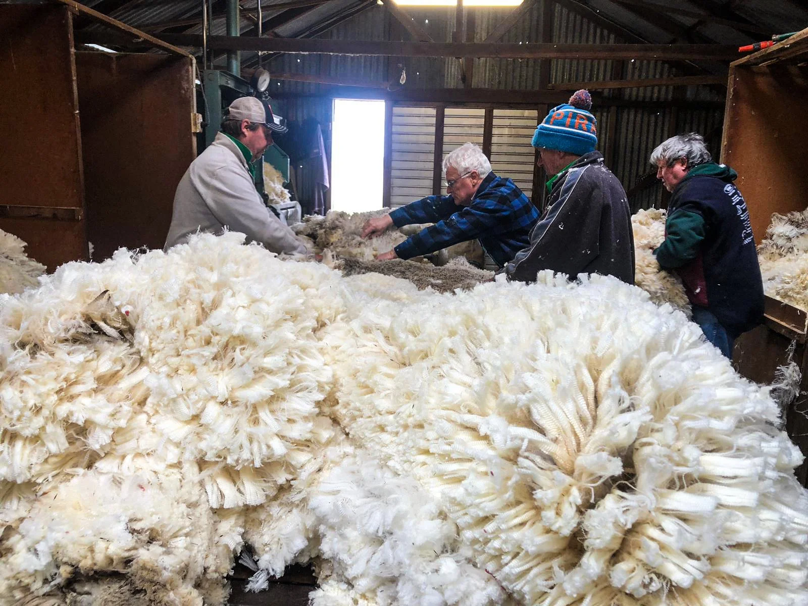 Home - Chinese Translation 关于我们 — %PJ MORRIS WOOLS, FREMANTLE WESTERN ...