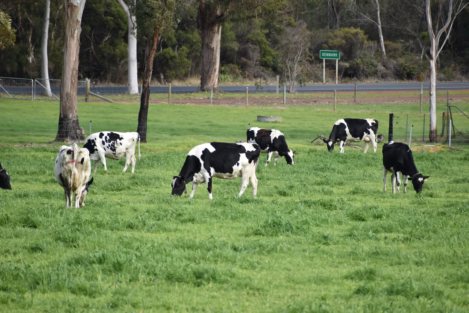 Inlet Views - Issue 6, 2025 | Discover Agriculture Insights — Join ...