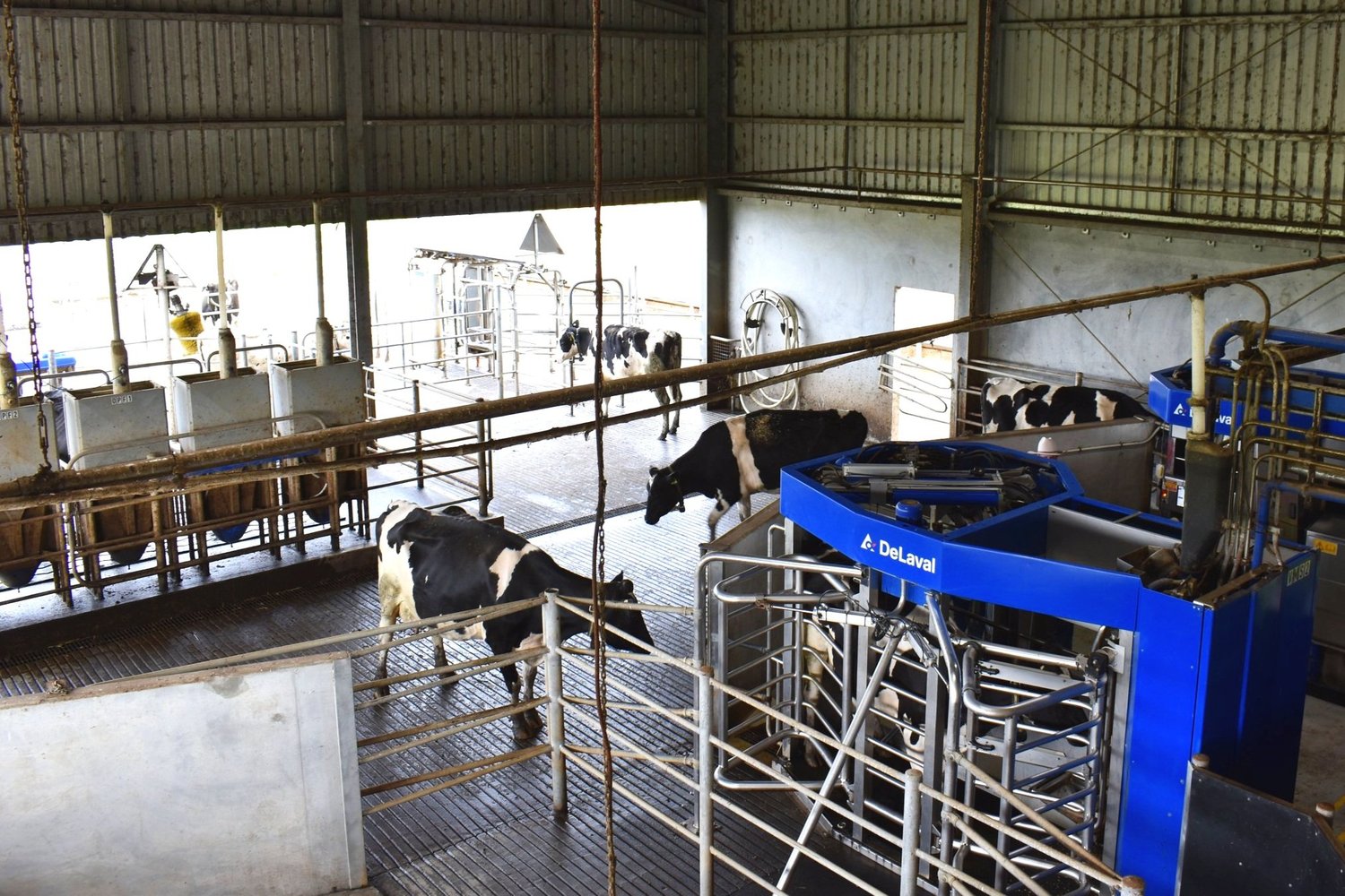 Farm | Learn Farming Skills Today — WA College of Agriculture Denmark