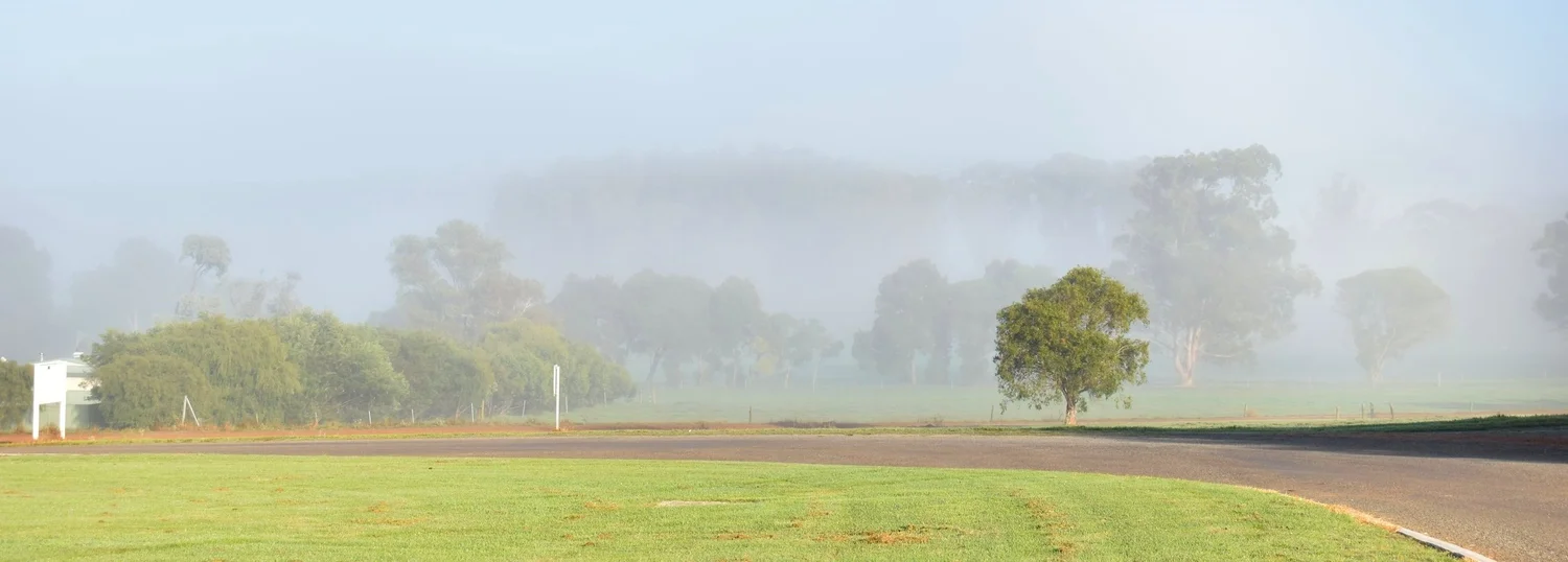 Issue 1 2025 - Principal — WA College of Agriculture Denmark