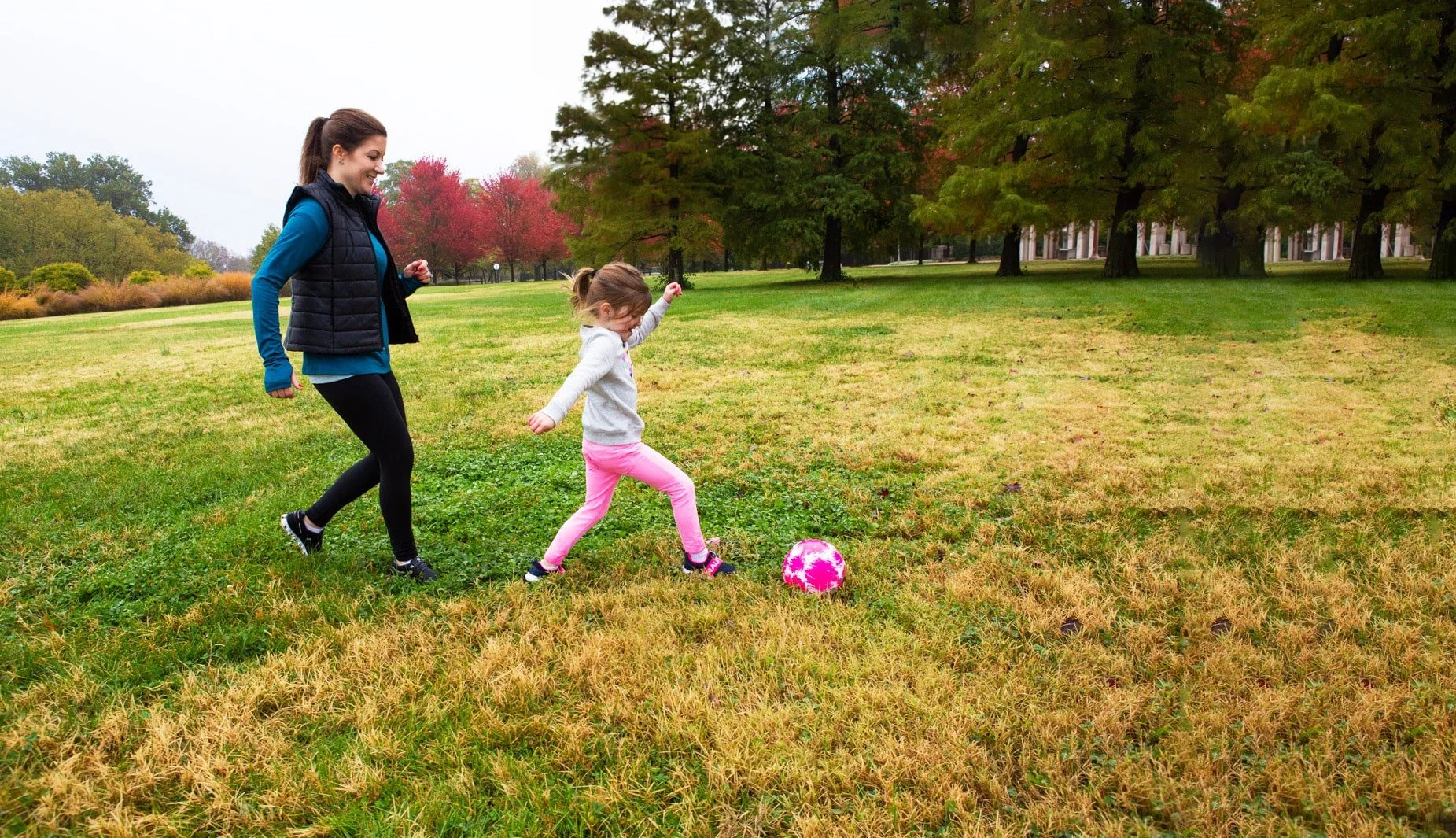 Movement System — Precision Physical Therapy