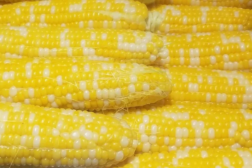 CSA | Subscription Box | Sweet Corn & Produce — Maddox Sweet Corn Farm