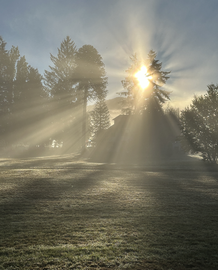 3 Things to Do in Forks, Wa Not Related to Twilight 2025 — Forks, Wa Trails