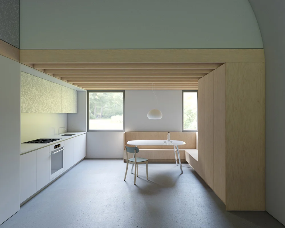 Harding House - Lombard, Illinois — ERA / Eric Rothfeder Architect