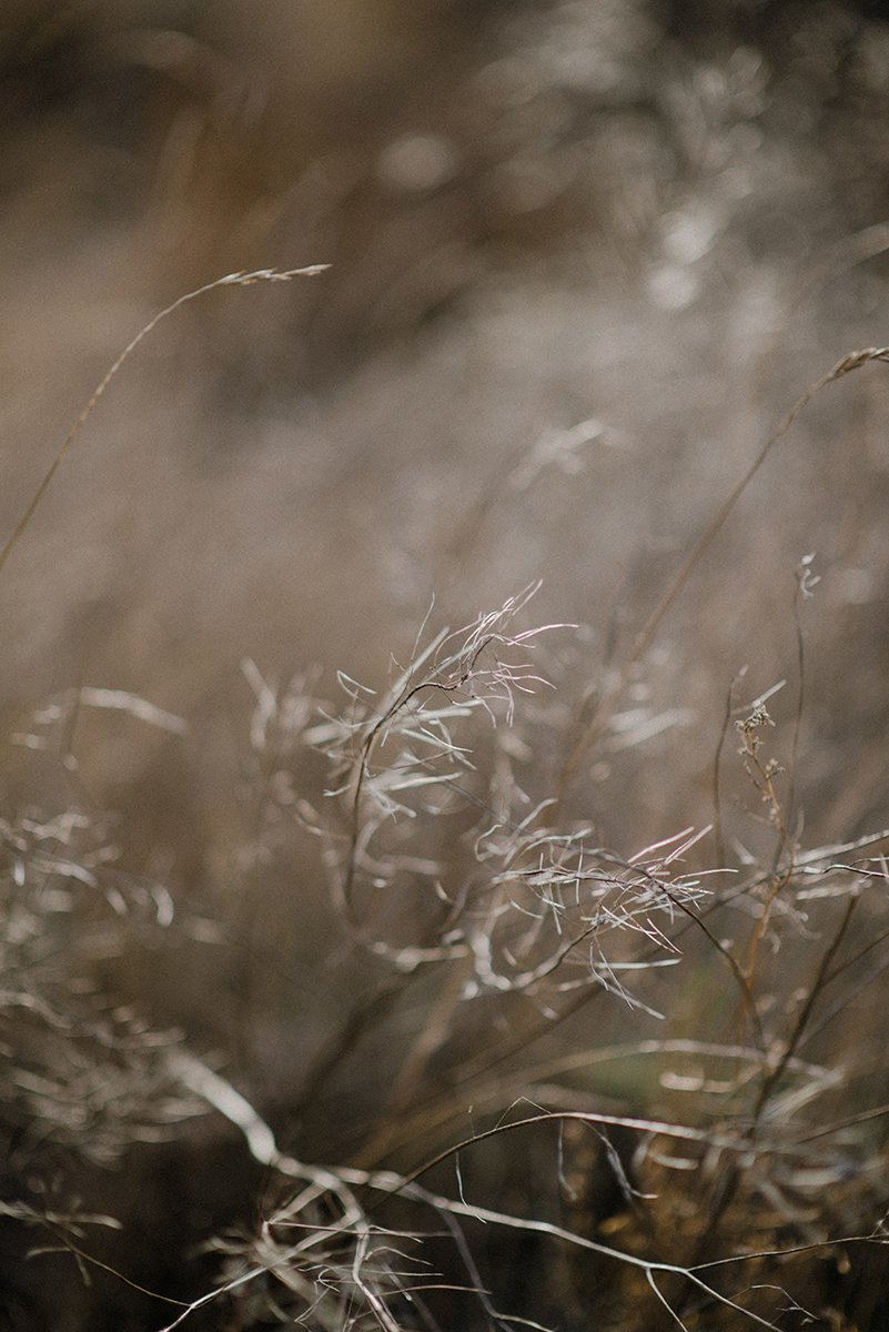 Rozalind your Boudoir Photographer | Rozalind Photography: Your ...