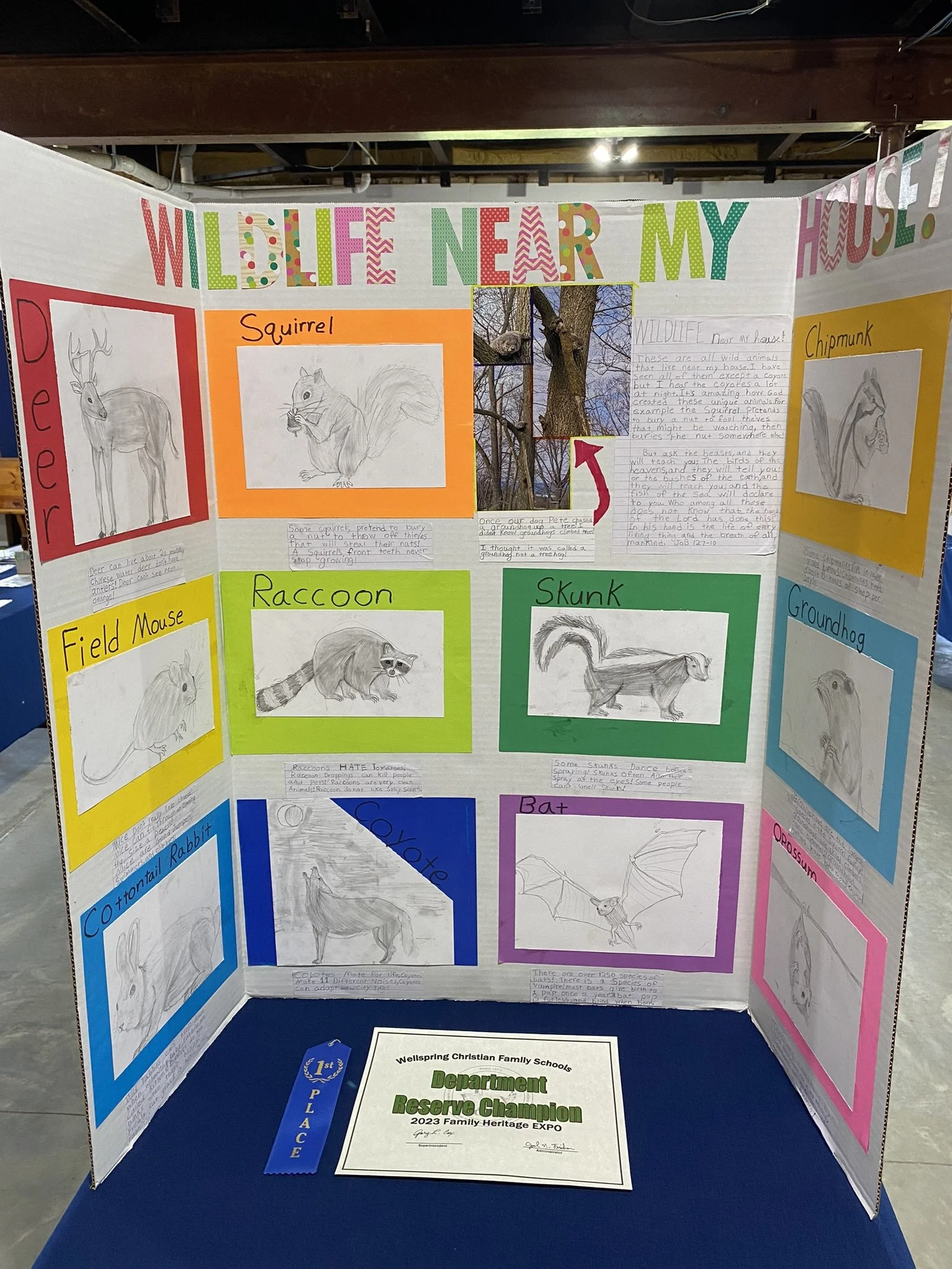 Family Heritage Expo — Wellspring Christian Family Schools