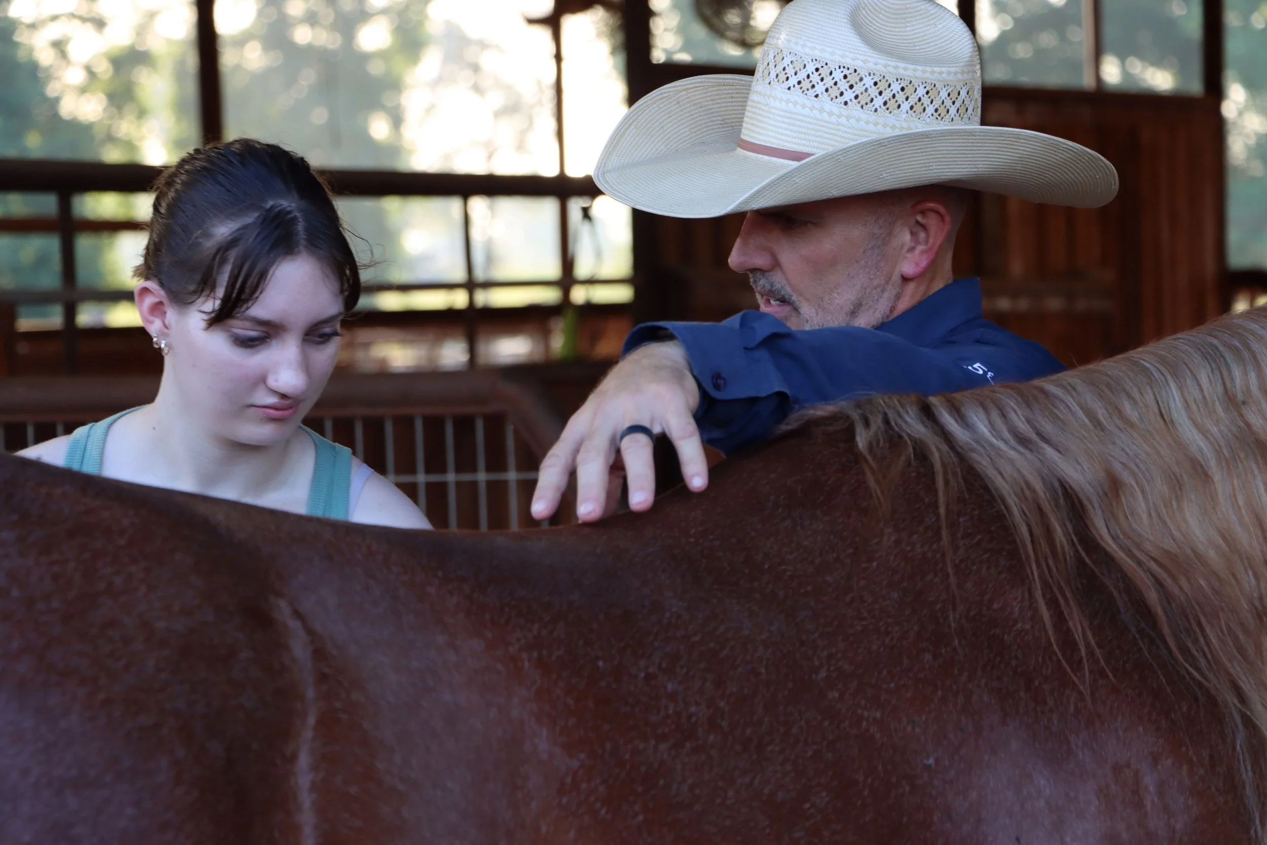 Get Involved with the American Exchange Project — AEP