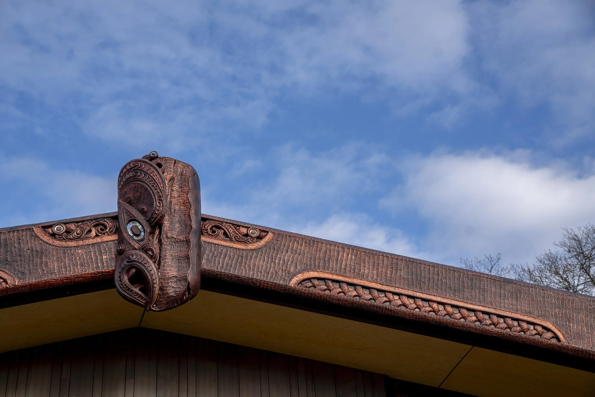 Waiora House Taupō | People, Community, Connection, Collaboration