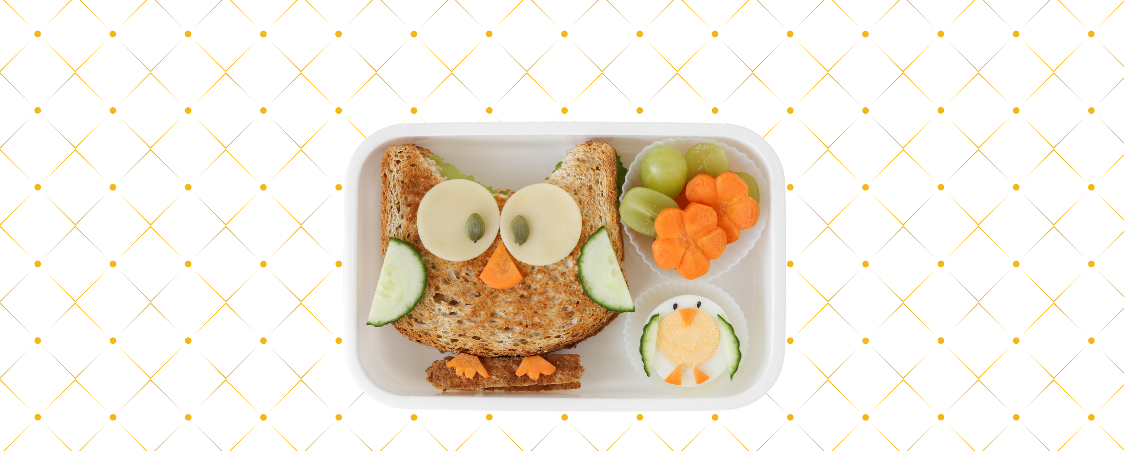 Nutrition Ed — SNACK