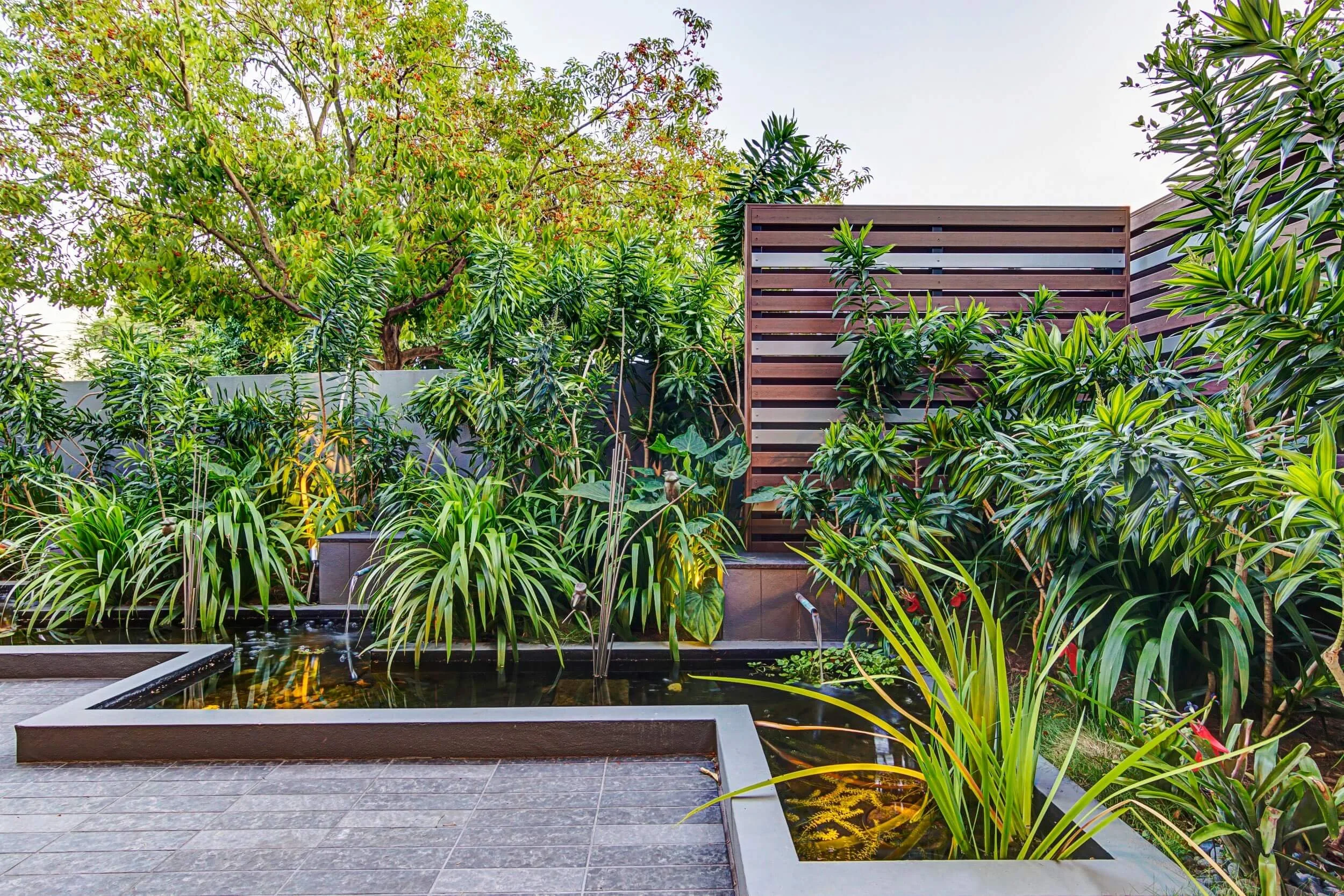 New Farm Garden — Clegg