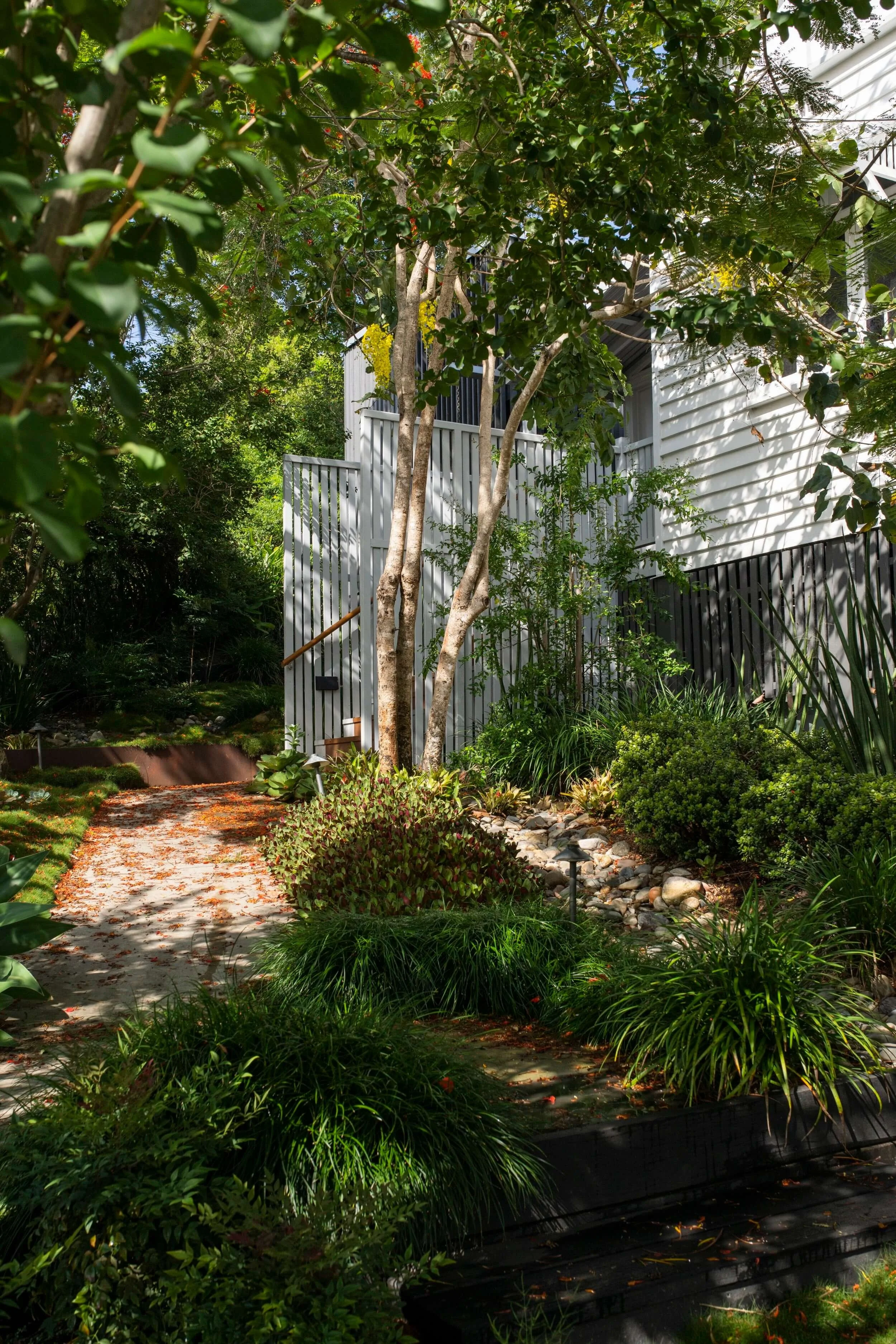East Brisbane Garden — Clegg