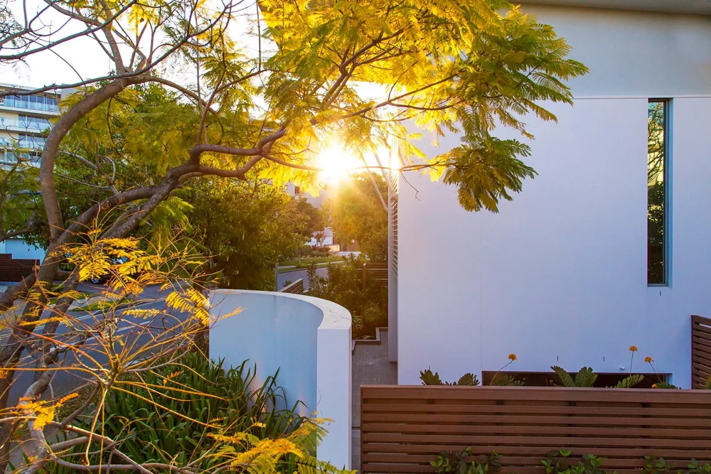 New Farm Garden — Clegg