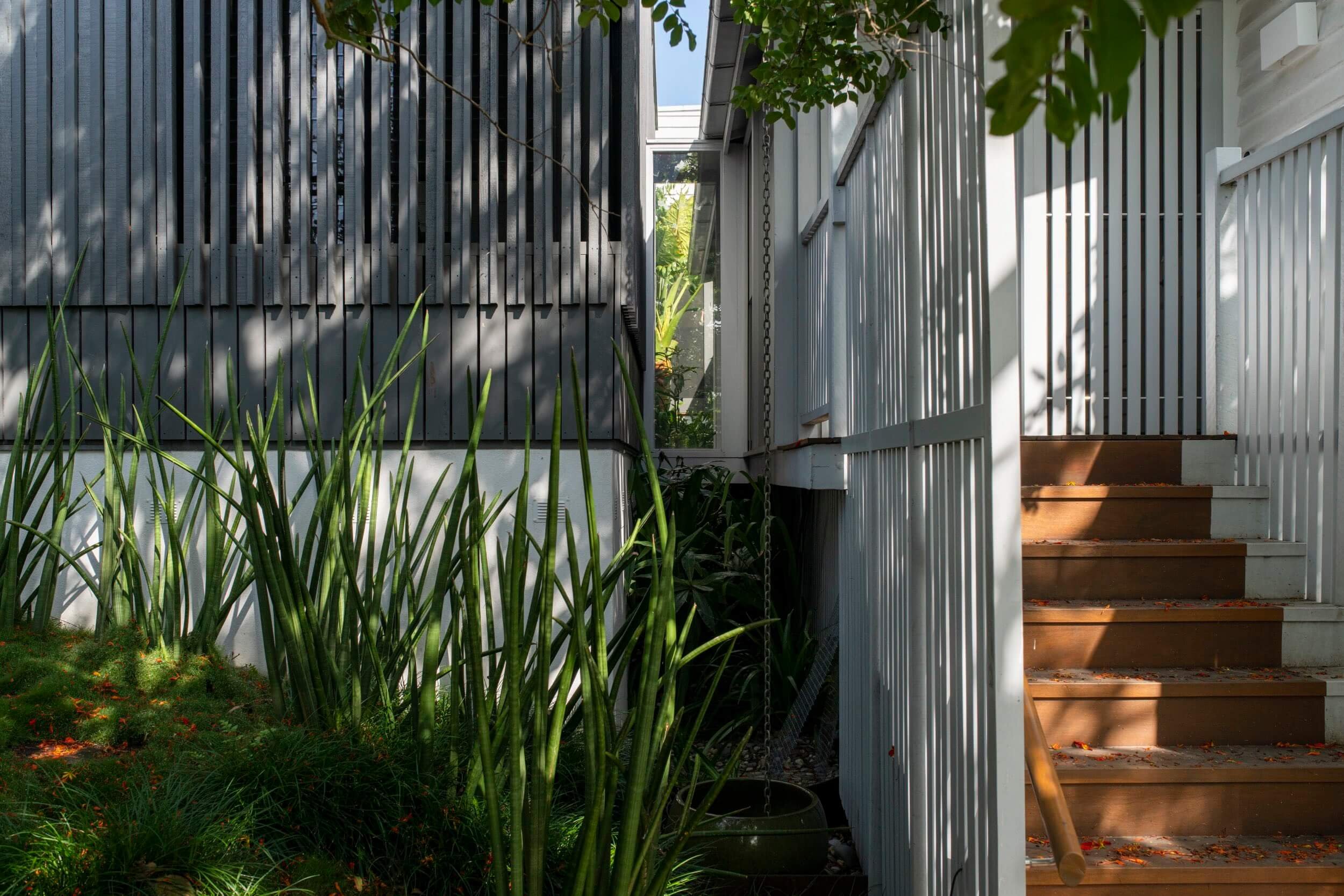 East Brisbane Garden — Clegg