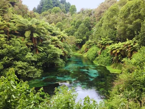 Mana Recovery Studio