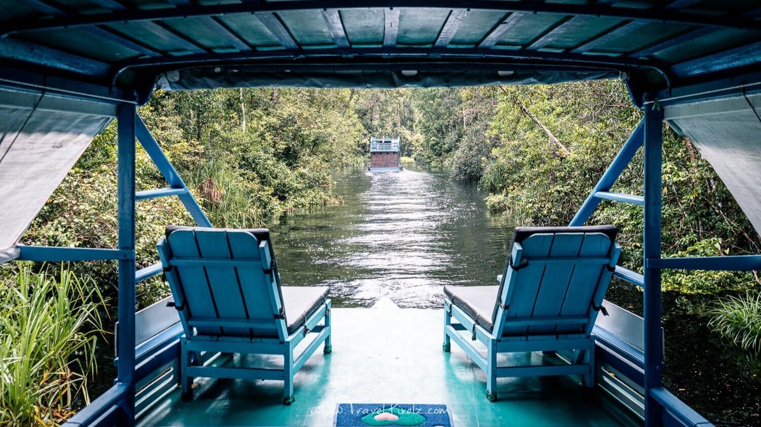 Tanjung Puting National Park - A Boat Tour to Borneo’s Orangutans ...